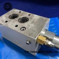 China SUN CBIG LCV Cast Iron Counter Balance Valve for Marine Hydraulic Systems - High Temperature Rated for sale