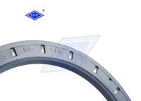 China CFW High Pressure Oil Seals BABSL Type 300 MPa 1.5 m/s for Industrial Machinery Applications for sale