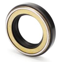 China Japan Factory Direct Selling High Pressure Hydraulic TCN Oil Seal Nbr Power Stee Ring Pump Rubber Oil Seal AP1904-F3 TCN 32*52*11 for sale