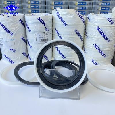 China TPM Five-Piece Set With Complete Specifications Italy DPM Tailgate Cylinder Oil Seal DBM Combination Seals. for sale
