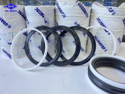 China 100% Italy TPM Seals And KDSAS Piston Cylinder Combination Oil Seals for sale