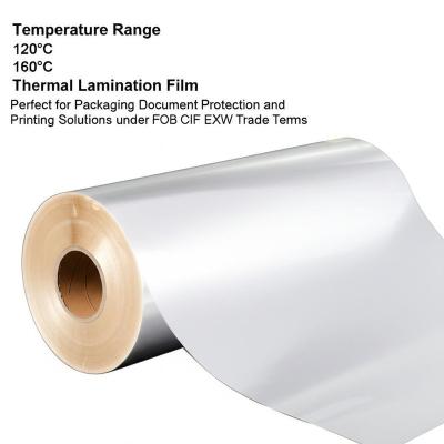 China Soft Thermal Lamination Film A3 A4 5R 4R 3R BOPP Film Roll Hot Stamping for sale