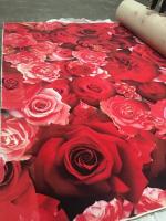 China Nylon 3D printing carpet   pile height 5-8mm   pile weight 500-1200g/sqm for sale