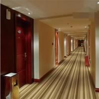 China Indoor PVC Carpet Flooring Double Stripe Level Loop Pile Plain Style for sale