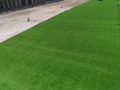 China Custom Lawn Grass Carpet For Golf Driving Ranges Park Kindergarten for sale