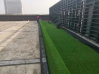 China Garden Lawn Grass Carpet , Artificial Grass Carpet Roll PVC Material for sale