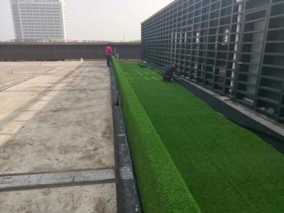 China Garden Lawn Grass Carpet , Artificial Grass Carpet Roll PVC Material for sale