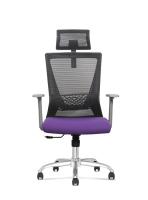 China Ergonomic Mesh Office Chair, High Back Desk Chair - Height Adjustment, tilt & swivel + height adjustable  lumbar support for sale