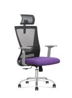 China Ergonomic Mesh Office Chair, High Back Desk Chair - Height Adjustment, tilt & swivel + height adjustable  lumbar support for sale