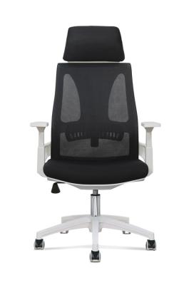 China NS Office Rotating Mesh Office Swivel Chair 28 Kg Nylon Armrest for sale
