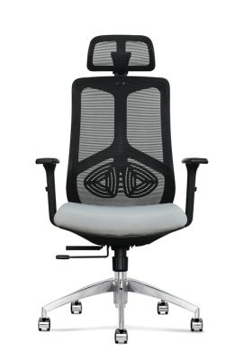 China Multifunctional Furmax Mid Back Mesh Office Swivel Chair 75 Cm 24 Kg for sale