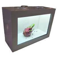 China 1080P Transparent LCD Screen Box 32-65 Inch with Android/Windows OS Options for Trade Show Displays for sale
