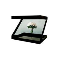 China Plug-and-Play 3D Holographic Display Box with Full HD 1920x1080 Resolution for Retail & Exhibition Marketing for sale