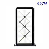 China 65CM Floor Standing 3D Holographic Fan Display with 3000cd/m² Brightness and Android Smart System for sale
