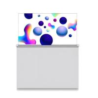 China 55-inch Intelligent Transparent OLED Display - 4.2mm Thin with 1500R Curvature for Theaters & Museums for sale