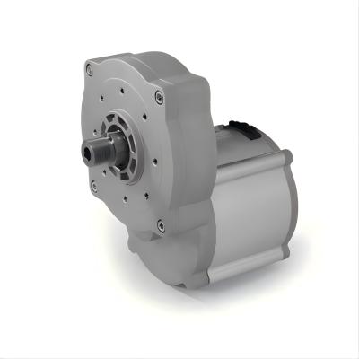 China 12V-36V Brushless DC Geared Motor 300W-750W for Sweeper Brush Disk Drive for sale