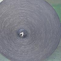 China DIN22102 17Mpa 24Mpa Nylon Conveyor Belt for sale