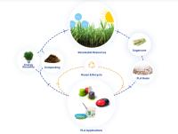 China 4032D Polylactic Acid Biobased PLA Biodegrada Pellets Compostable All Color for sale
