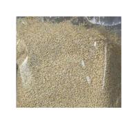 China For EVONIK PI Polyimide P84 PI Powder Polyimide P84 NT2 Resins for sale