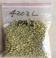 China SOLVAY PAI Polyamide-imide Torlon 4200/4203/4203L/4275 Resin for sale