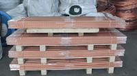 China 37mm Thread Length Electroplating Process Lightning Protection Copper-Bonded Earth Rod for Substations Telecom Towers for sale