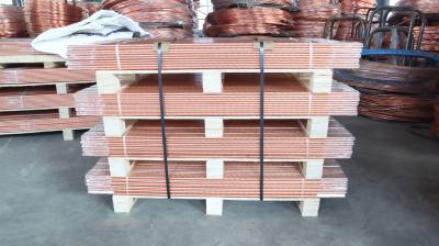 China Industrial Grade Copper Clad Grounding Rods with Class I Insulation Level and Elongation 15% for sale