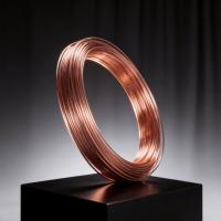China Copper Clad Steel Round Wire for Marine Terminal Earthing for sale