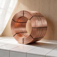 China Copper Clad Steel Equipotential Bar for Electrical Installations for sale