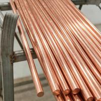 China Copper Clad Earth Protection Electrode for Outdoor Installations for sale