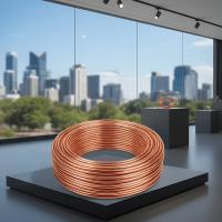 China Copper Bonded Conductive Wire for Oil & Gas Facilities for sale