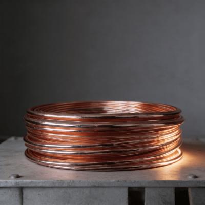 China Copper Clad Steel Round Wire for Electrical Grid Bonding for sale