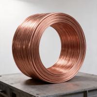 China Copper Clad Steel Round Wire for Intelligent Building Grounding for sale