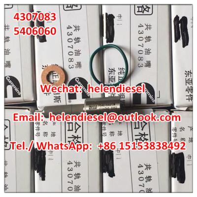 China Genuine and New  Nozzle 4307083 , P5461846FSW ,5406060 original and brand new for sale