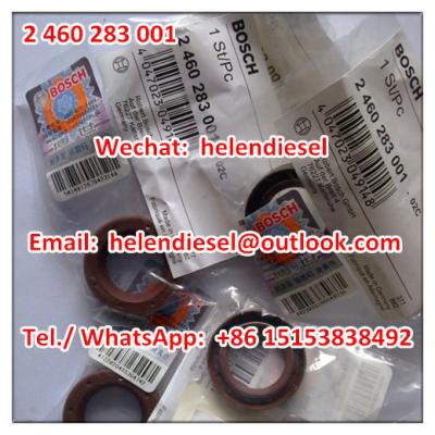 China Genuine and New  Gasket /Oil Seal 2460283001 , 2 460 283 001, 81965030313,42551388 , Original Pump Shaft Seal for sale