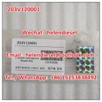 China Injector Seal Kits / Repair Kits Z03V120001 , Z 03V 120 001 for sale