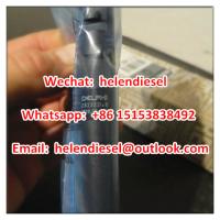 China common rail injector 28232248 ,EJBR04001D, R04001D,166009384R ,8200049873,7711497153, Genuine and New CR Injector for sale