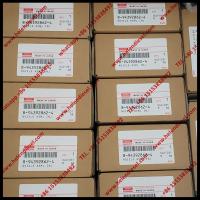 China New DENSO injector 095000-0160, 095000-0166,095000-0167, ISUZU injector 8-94392862-4 ,8-94392862-0 ,8943928624, 095000-0 for sale