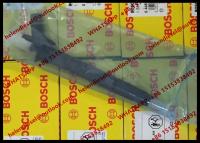 China fuel injector 0445116025, 0445116026, A6420701187 FOR C350/CLS350/E300/E350/GL320/GL350/GLK350 for sale