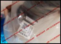 China BEBE4D08002 , BEBE4D24002 ,BEBE4D16002 EUI INJECTOR for  7421340612 , 7420972224 , 9021371673, for for sale