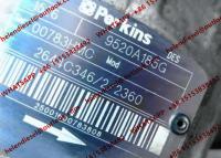 China Genuine  fuel pump 9520A180G , 9520A181G , 9520A182G , 9520A183G,9520A185G,  RE61668 ,Perkins 2644C346 for sale