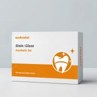 China Oem Dental Stain Glaze Audental Zirconia Block Ceramic Porcelain Factory Supplier for sale