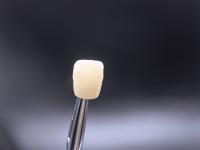 China Dental Zirconia Block compatible with CAD CAM systems providing multiple shades and fast processing for anterior dental restorations for sale