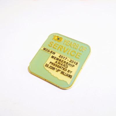 China Anniversary Custom Soft Enamel Pins Epoxy Coated With 2 Posts For Awarding Member for sale