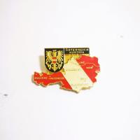 China Custom Soft Enamel Austria Map Lapel Pin 30mm Gold Finish Epoxy Coated Patriotism for sale