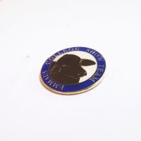 China Custom Soft Enamel Lapel Pins 25mm Iron Epoxy Domed Gold Finish with Rubber Clutch for sale
