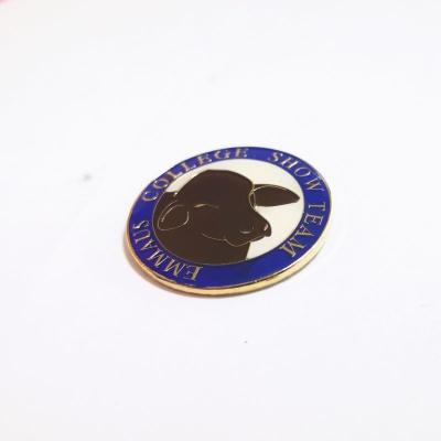 China Custom Soft Enamel Lapel Pins 25mm Iron Epoxy Domed Gold Finish with Rubber Clutch for sale
