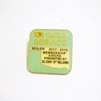 China Custom Soft Enamel Pins 1.5 Inch Iron Stamped Epoxy Coated with Metal Clutches for sale