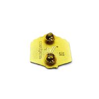 China School Association Customized Lapel Pins Die Casting With Embossed Back Texts for sale