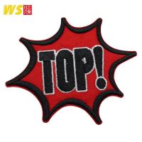 China Wangshun Factory Customization Sequined Embroidered Patches Eco-Friendly Canvas Patches Fabric Material  Badge with Hook Loop for sale