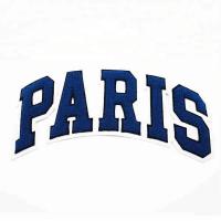 China Customized Eco-Friendly Chenille Embroidered Letter Patch Sew-On Patches for sale